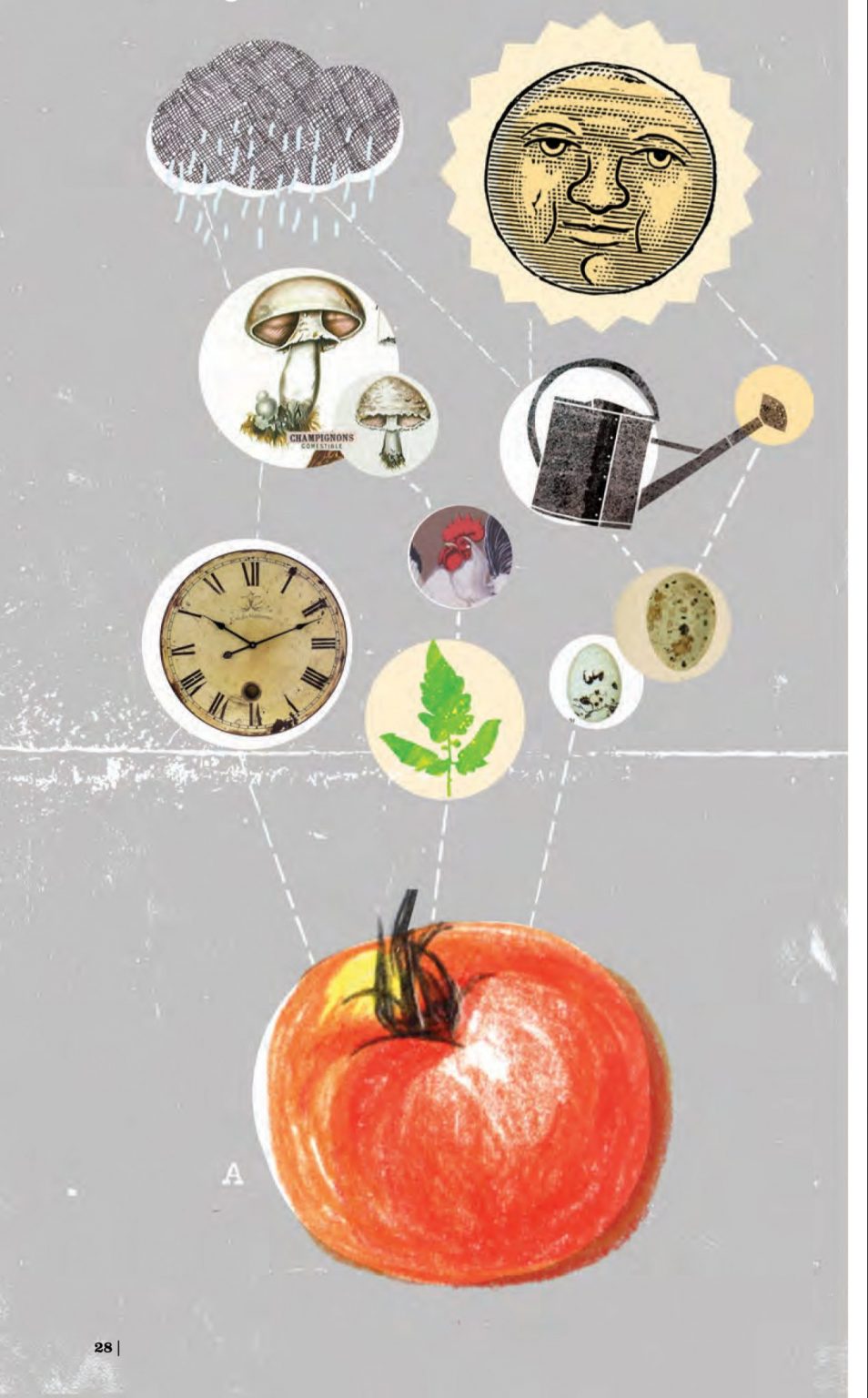 endemic Archives | Current Conservation