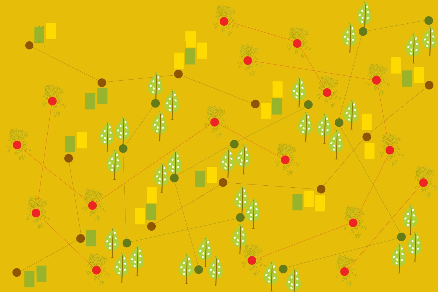 Connecting habitat patches in fragmented landscapes | Current Conservation
