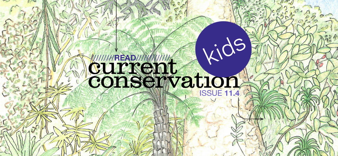 - Current Conservation