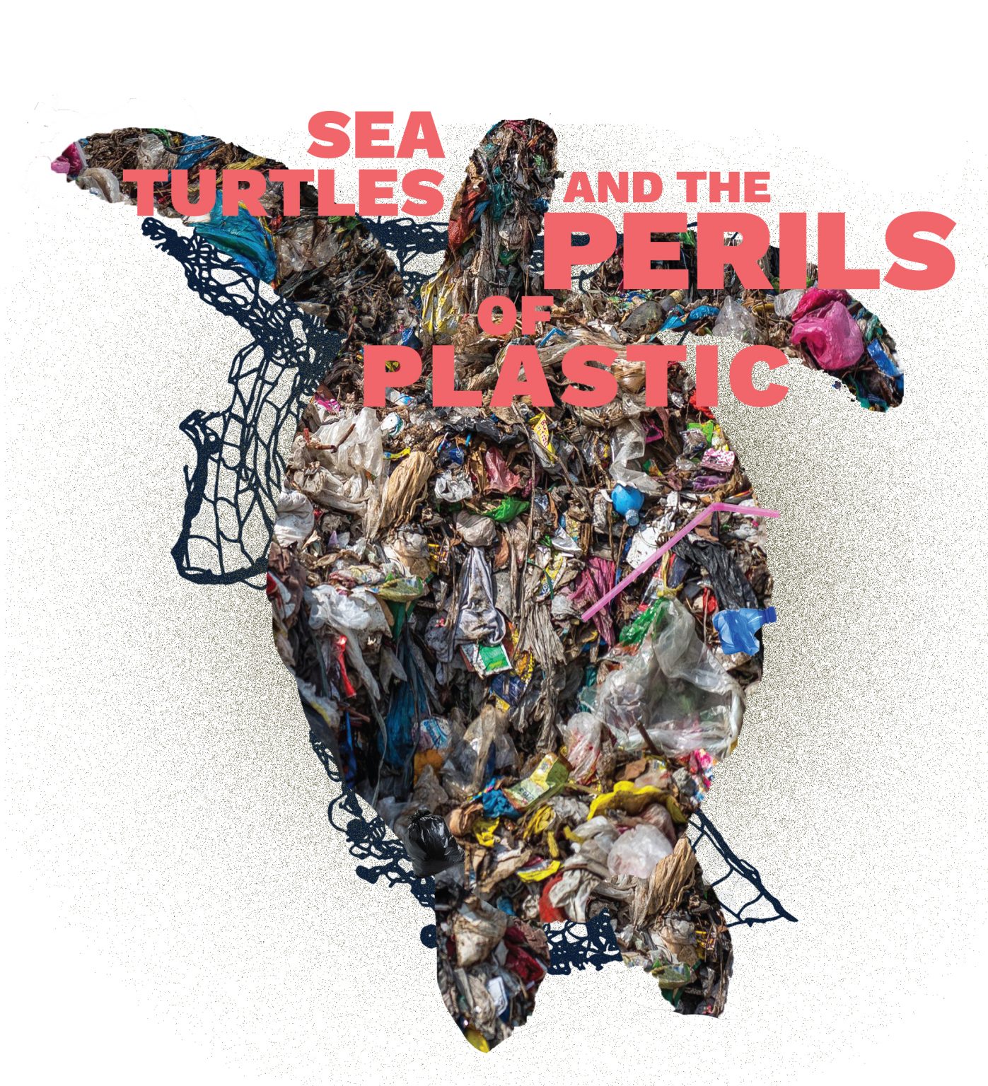 Sea turtles and the perils of plastic | Current Conservation