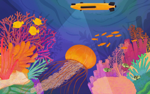 Using underwater drone photography for marine conservation | Current Conservation