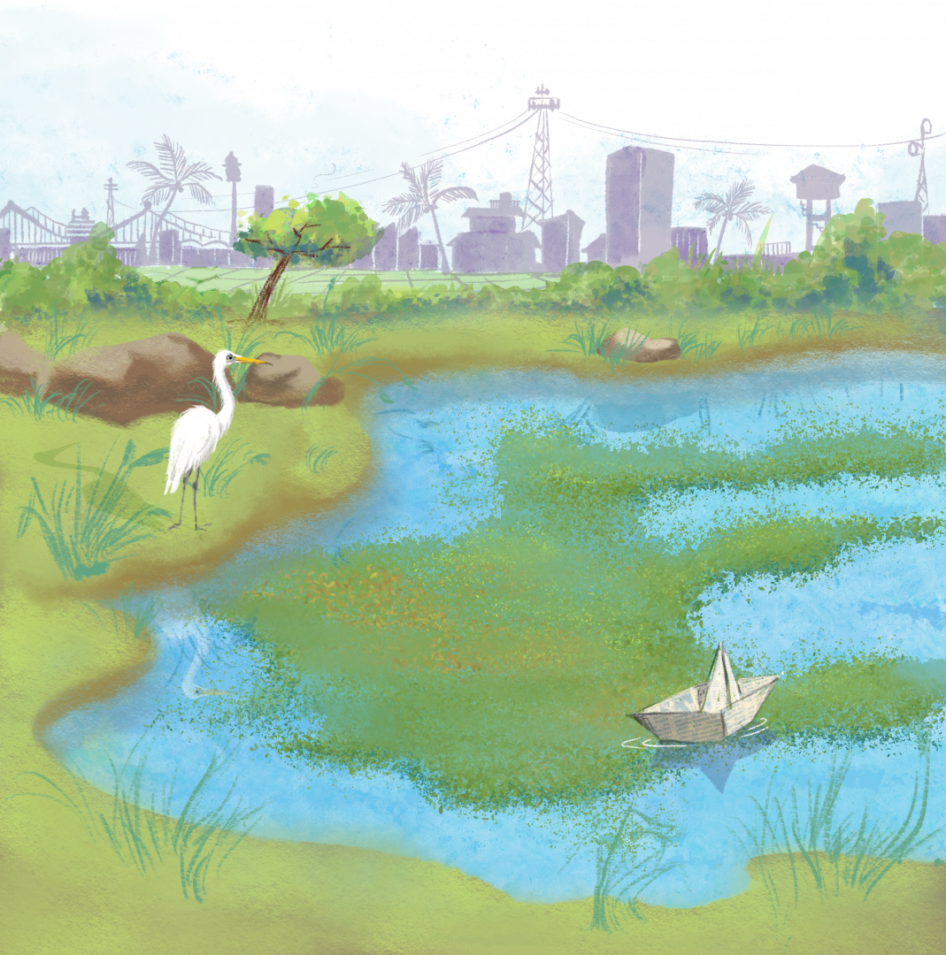 The bright side of chytrid algal parasites in pelagic food webs ...