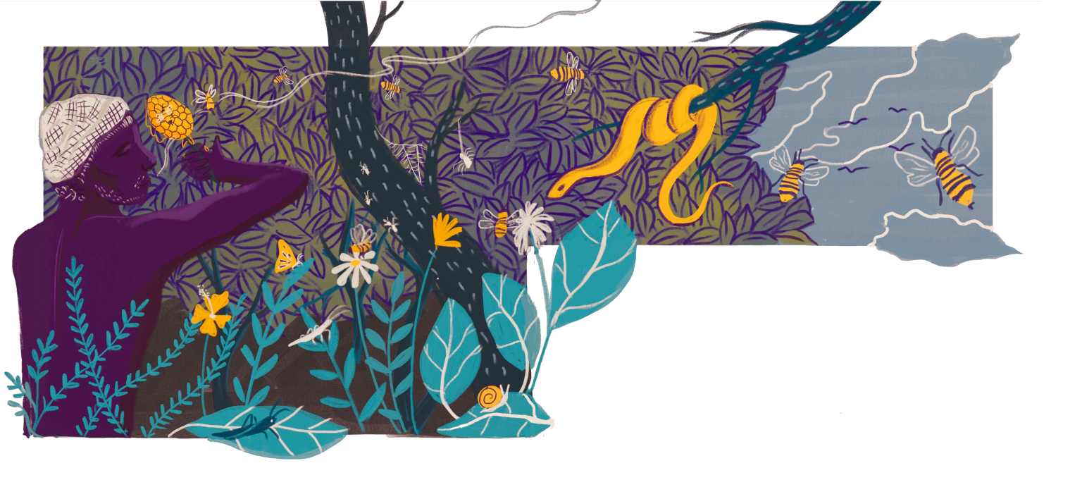 Chokalingam: the Irula legend, snake catcher, and friend of all things ...