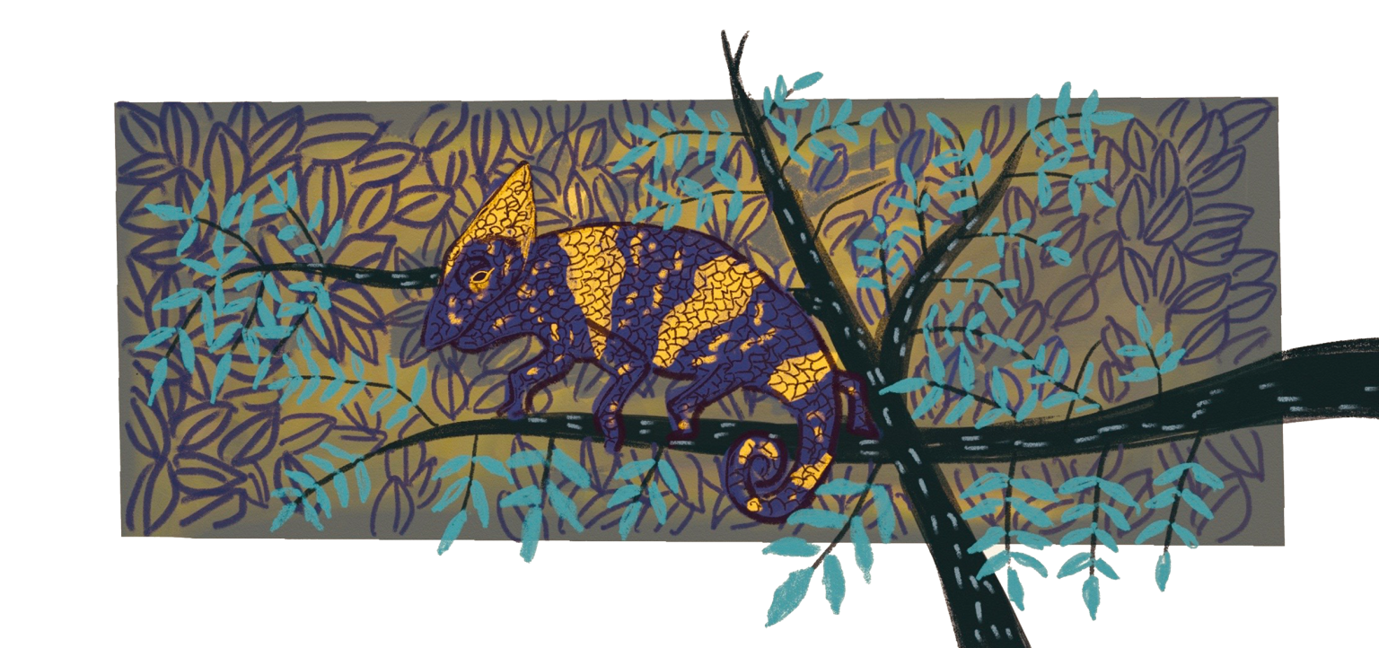 Chokalingam: the Irula legend, snake catcher, and friend of all things ...