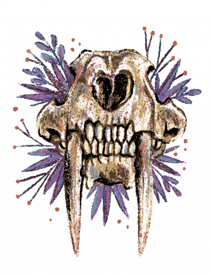 The new sabre-toothed cat: when pre-history comes alive! | Current ...