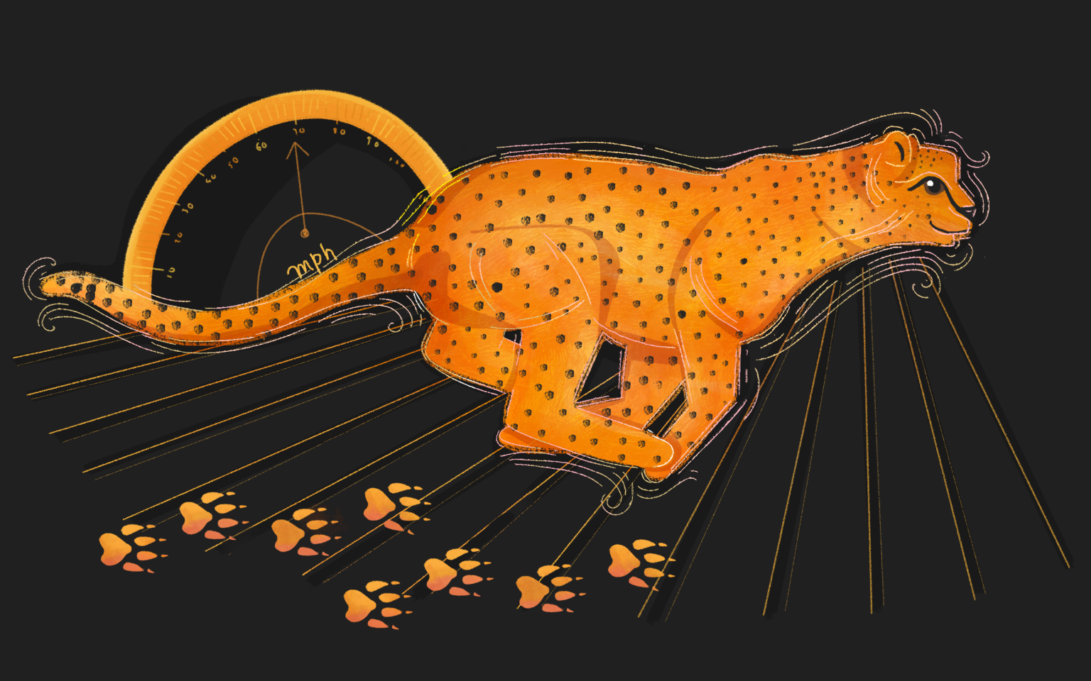 Livestock guardian dogs help the fastest cat run from extinction ...