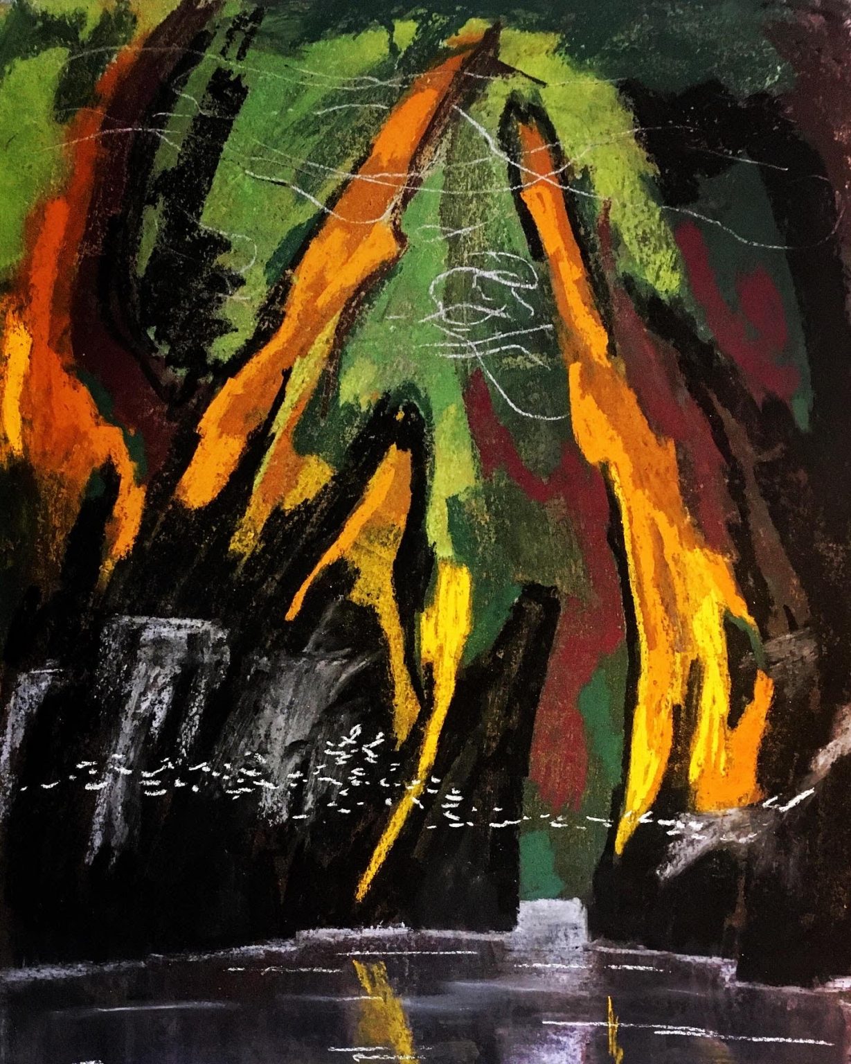 An Ecologist Paints a Picture: In conversation with scientist-turned ...