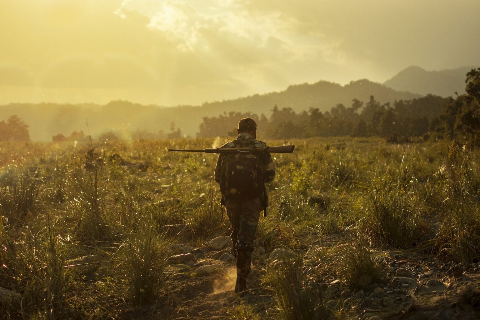 A MEMORABLE WEEK IN PAKKE TIGER RESERVE | Current Conservation