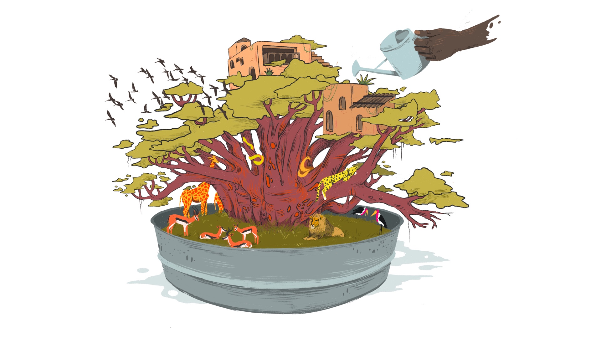 Unlocking the potential of Africa’s wildlife economy to drive ...