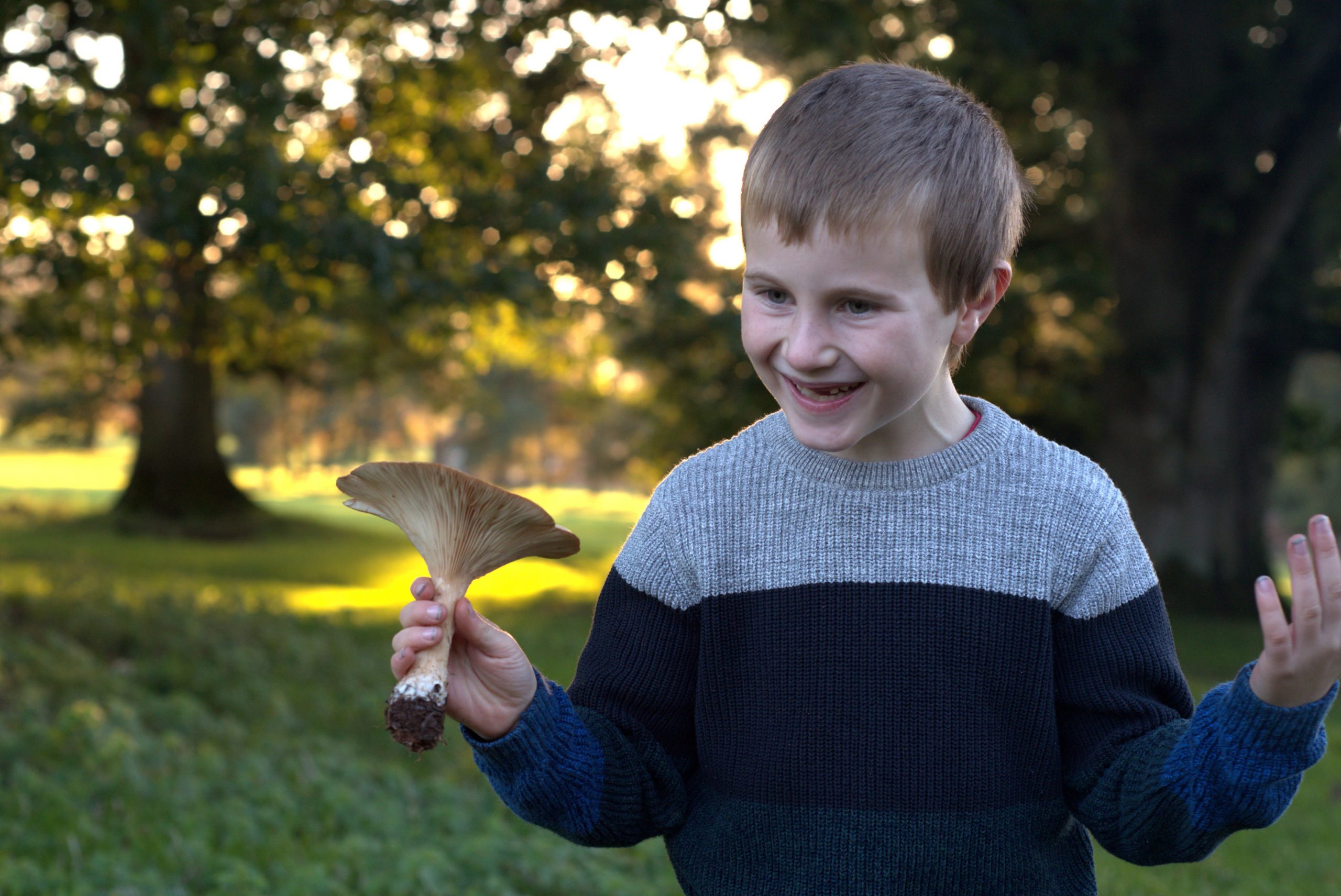 Eben Grant | Current Conservation