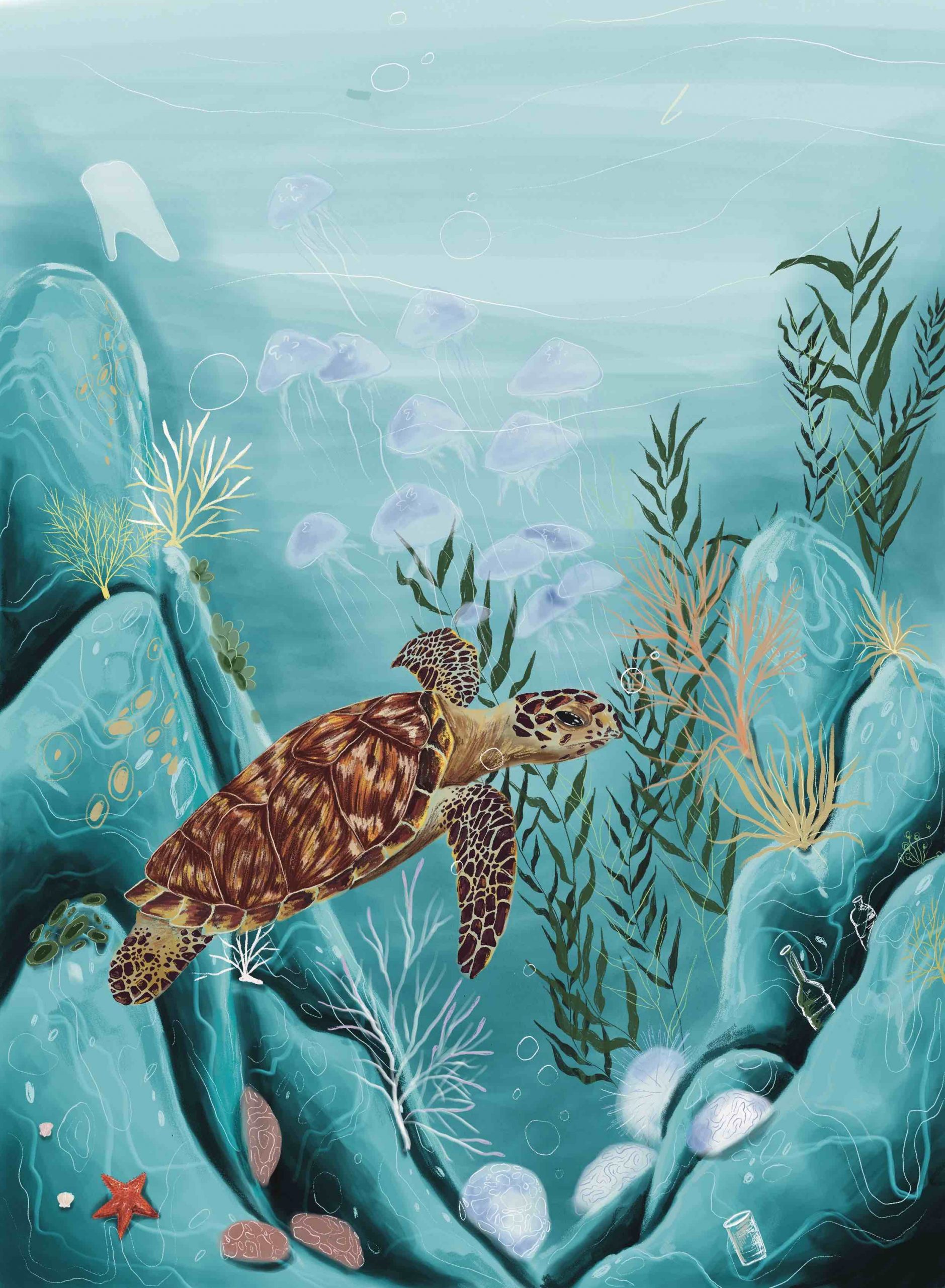 Migrations through the eyes of a sea turtle | Current Conservation