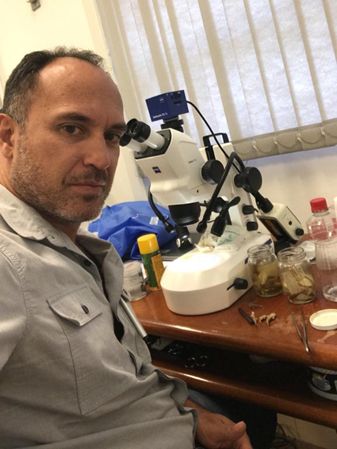 Pablo Lehmann Albornoz | Current Conservation