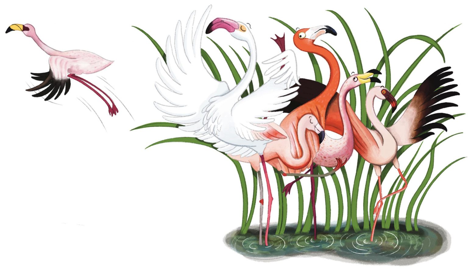 Beautiful Bats | Current Conservation