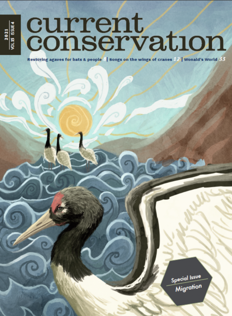 15.4 | Current Conservation