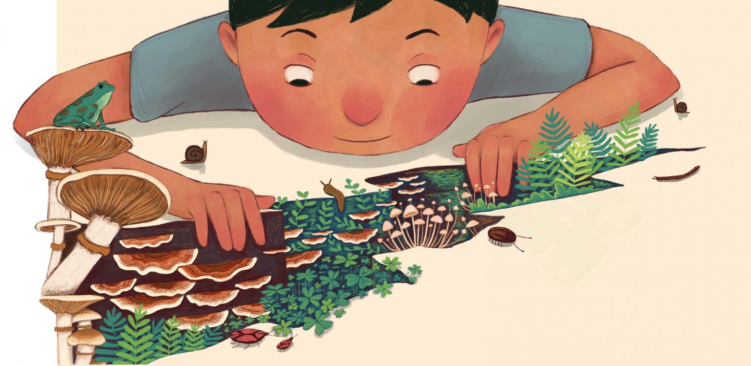 Activity: Building a better relationship with nature | Current Conservation