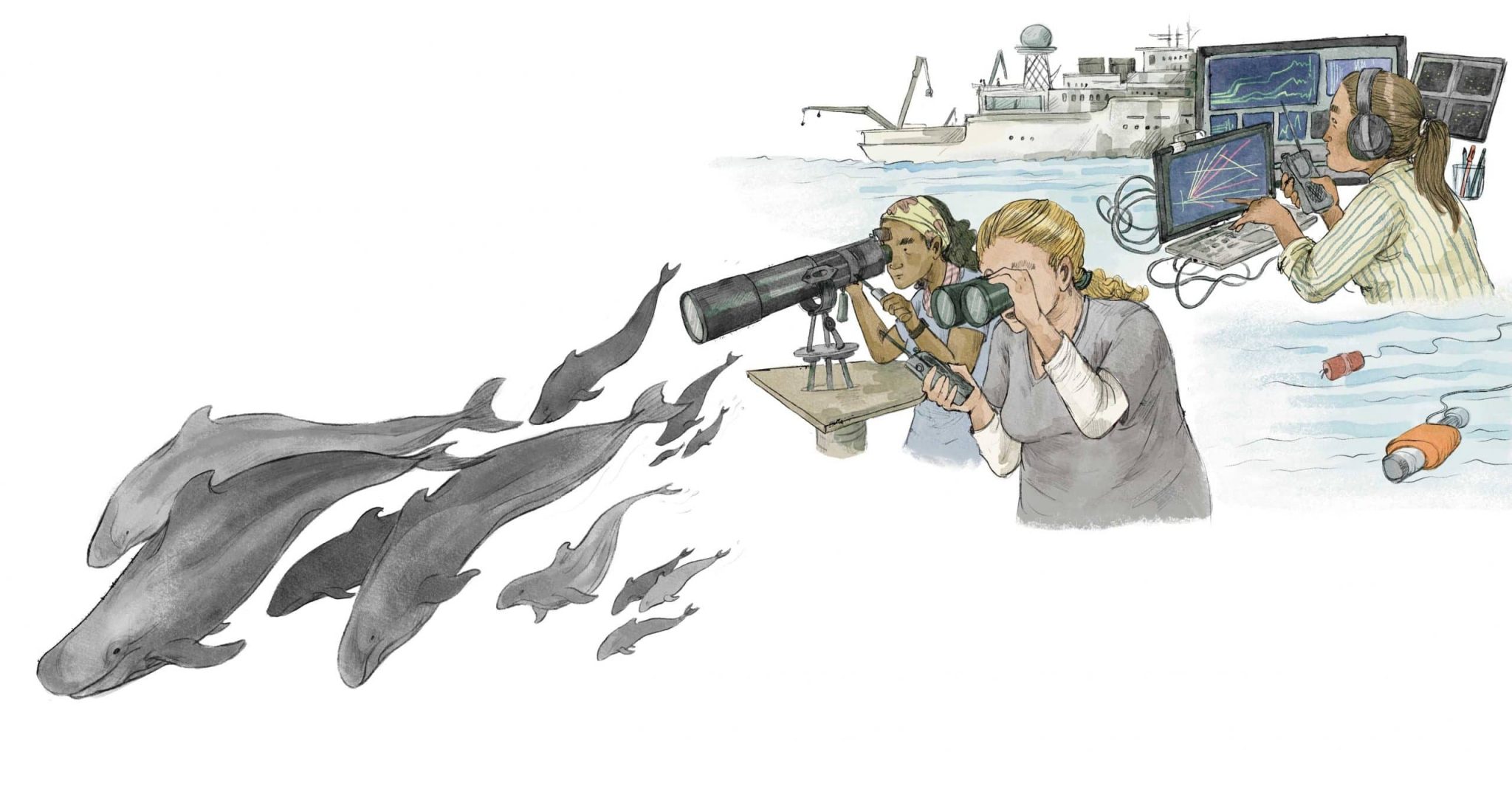 Read Archives | Current Conservation