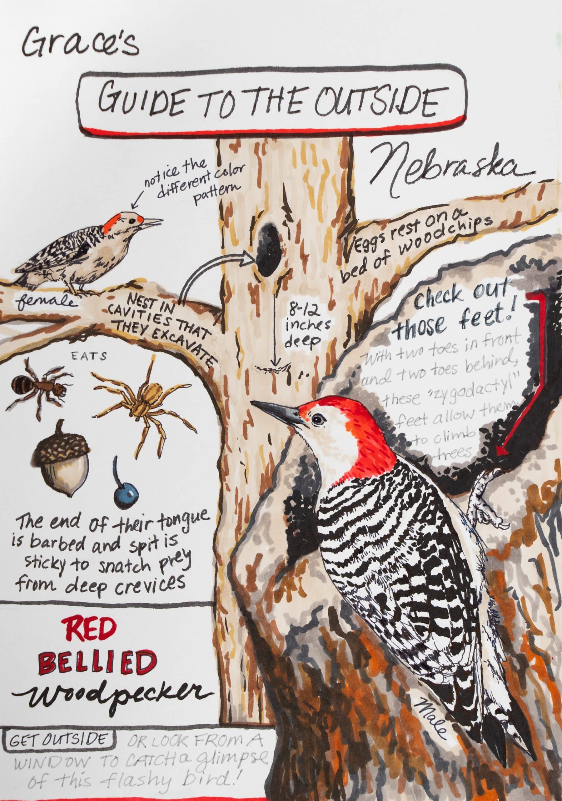 Learning locally with nature and art | Current Conservation