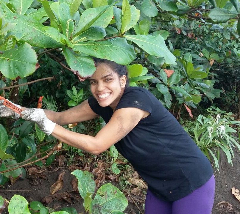 Nupur Kale | Current Conservation