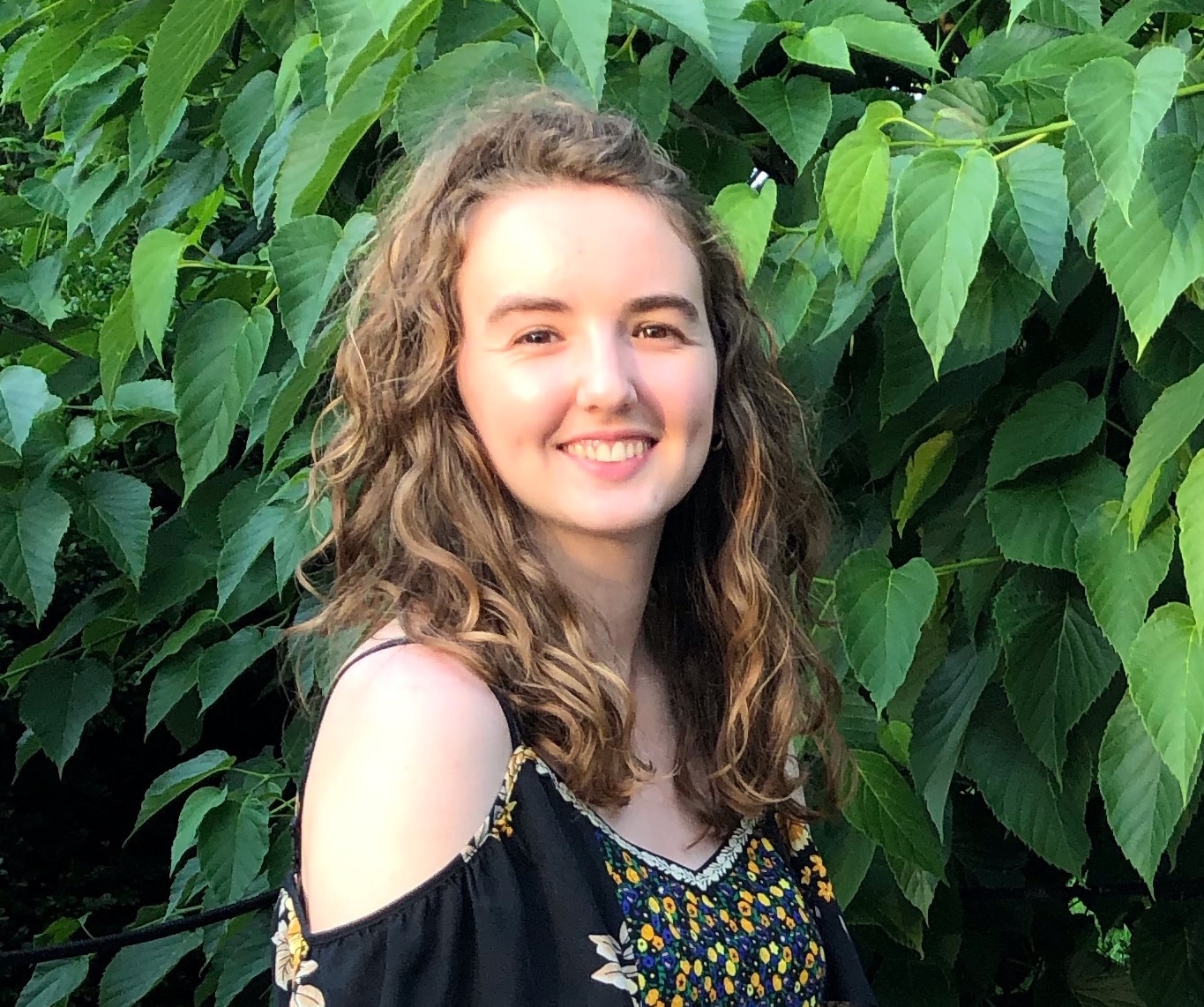 Sarah Wheedleton | Current Conservation