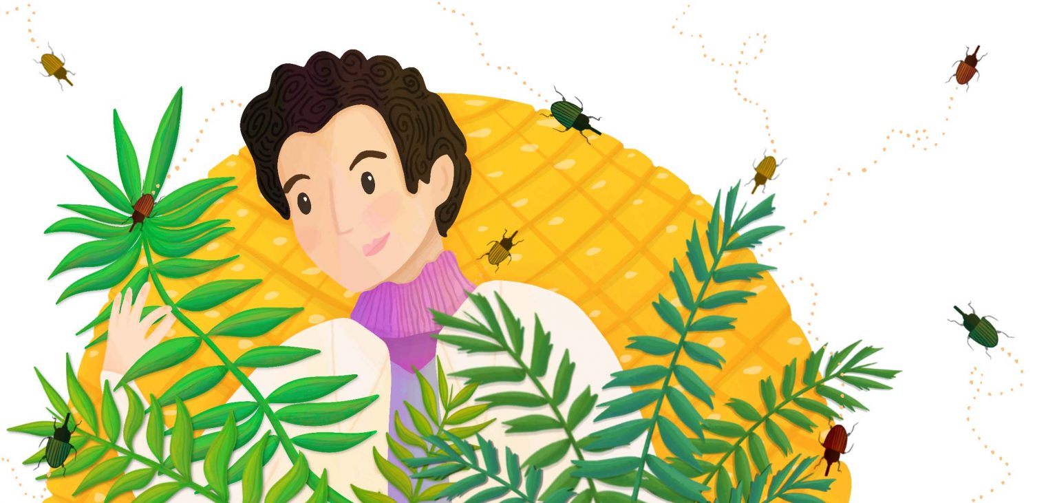 THE MIGHTY INDIAN REDWOOD TREE | Current Conservation