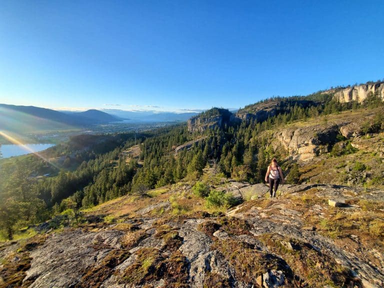 Environmentalism | Current Conservation