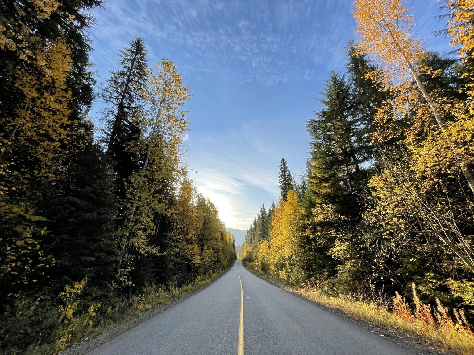 Perspective | Current Conservation