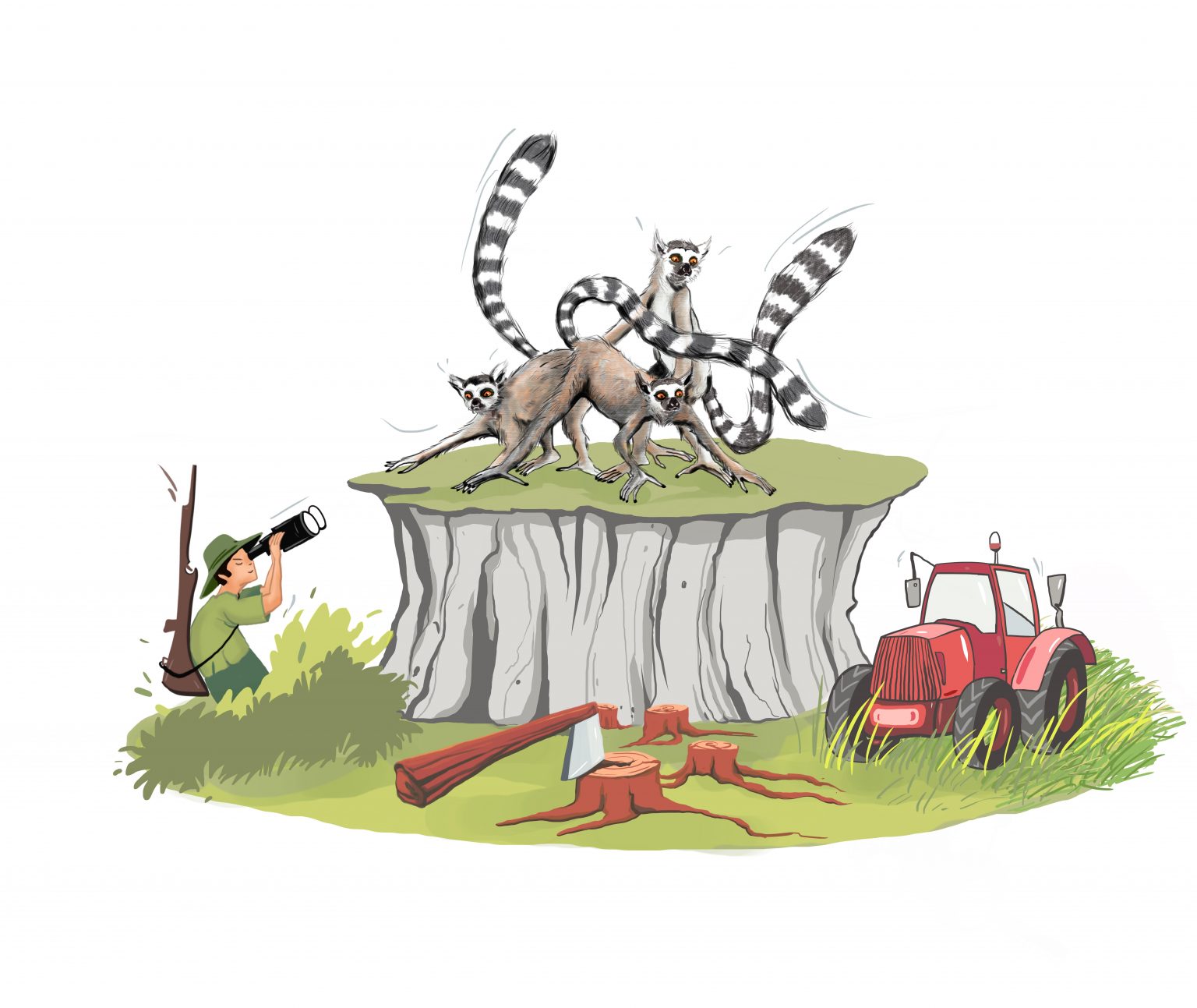 The ecological extinction of land animals | Current Conservation