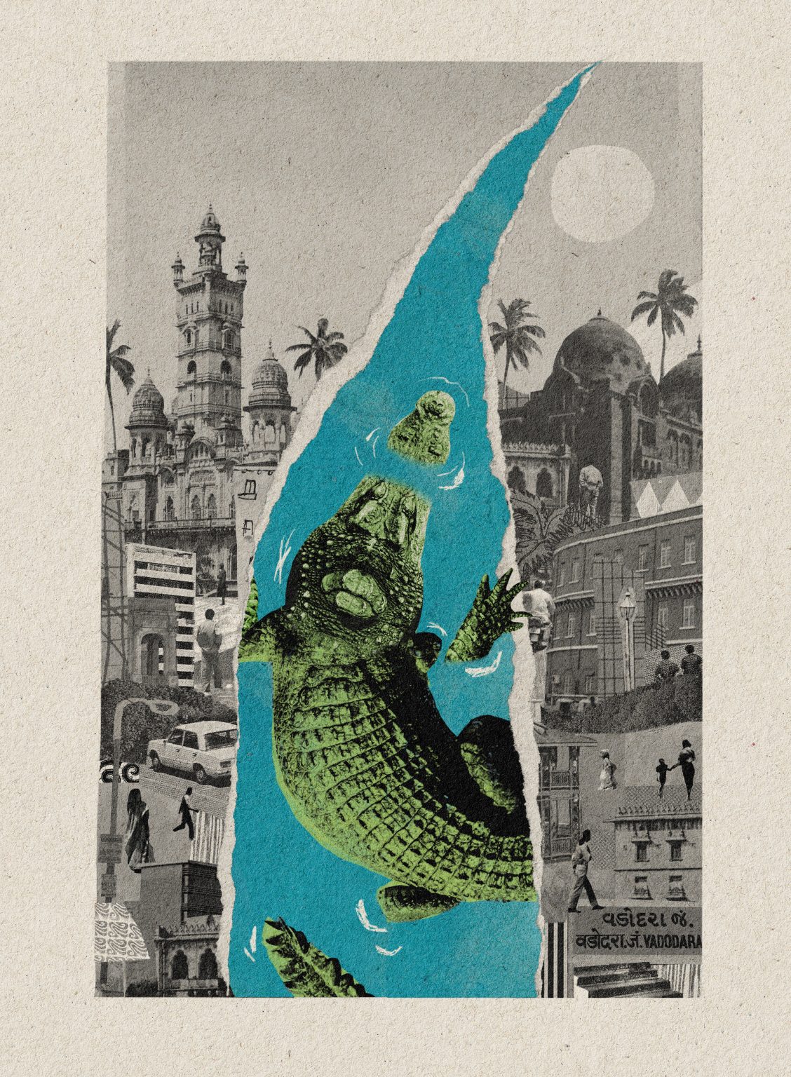 Read Archives | Current Conservation