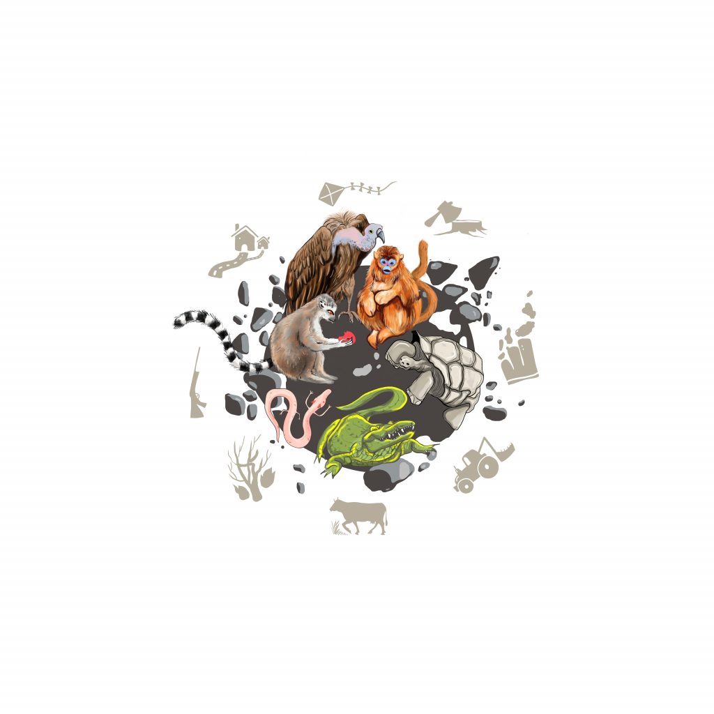 Captive breeding informed by genetics leads to long-term success in the ...