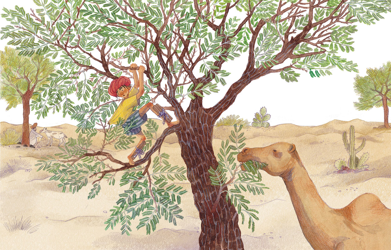 Have you ever climbed a tree? | Current Conservation