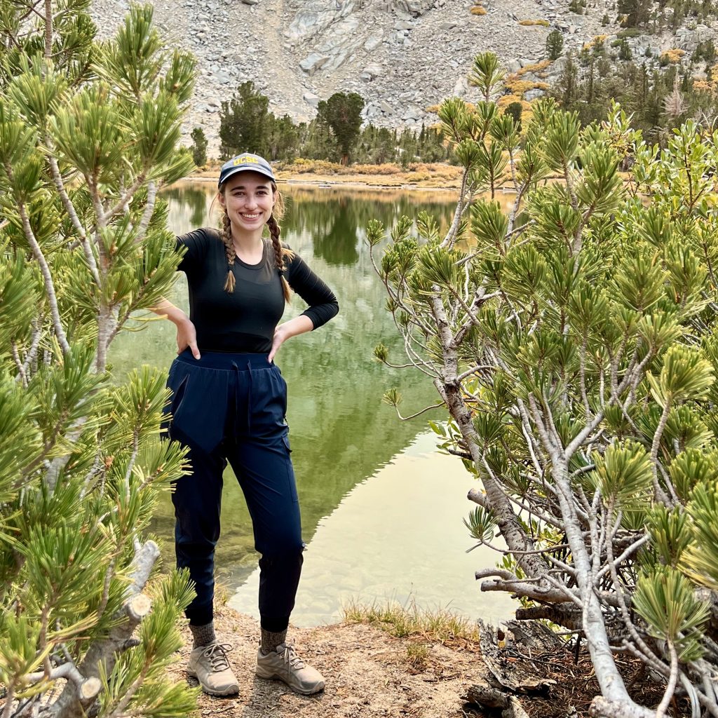 Brigid Moran | Current Conservation