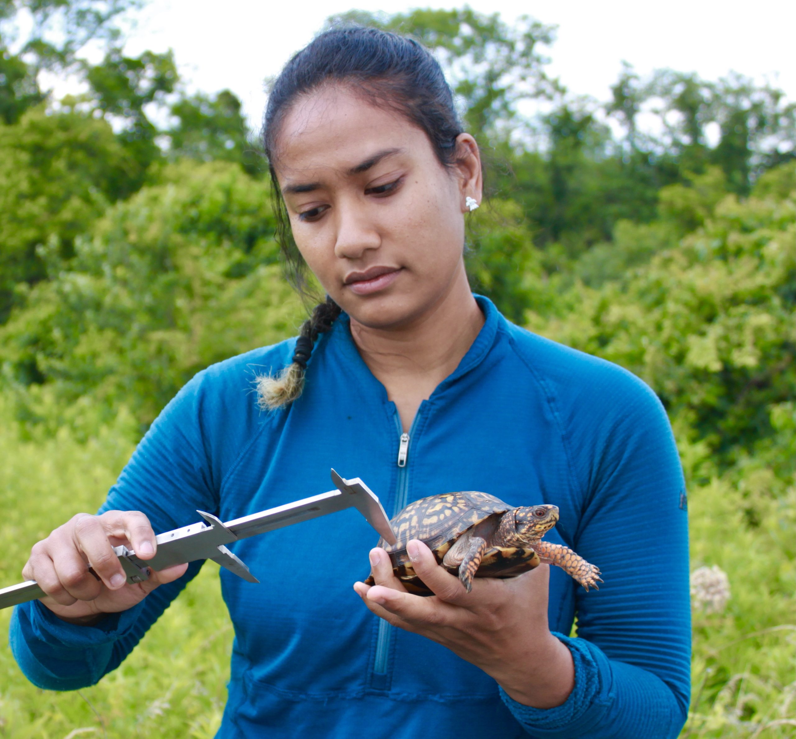Anne Devan-Song | Current Conservation