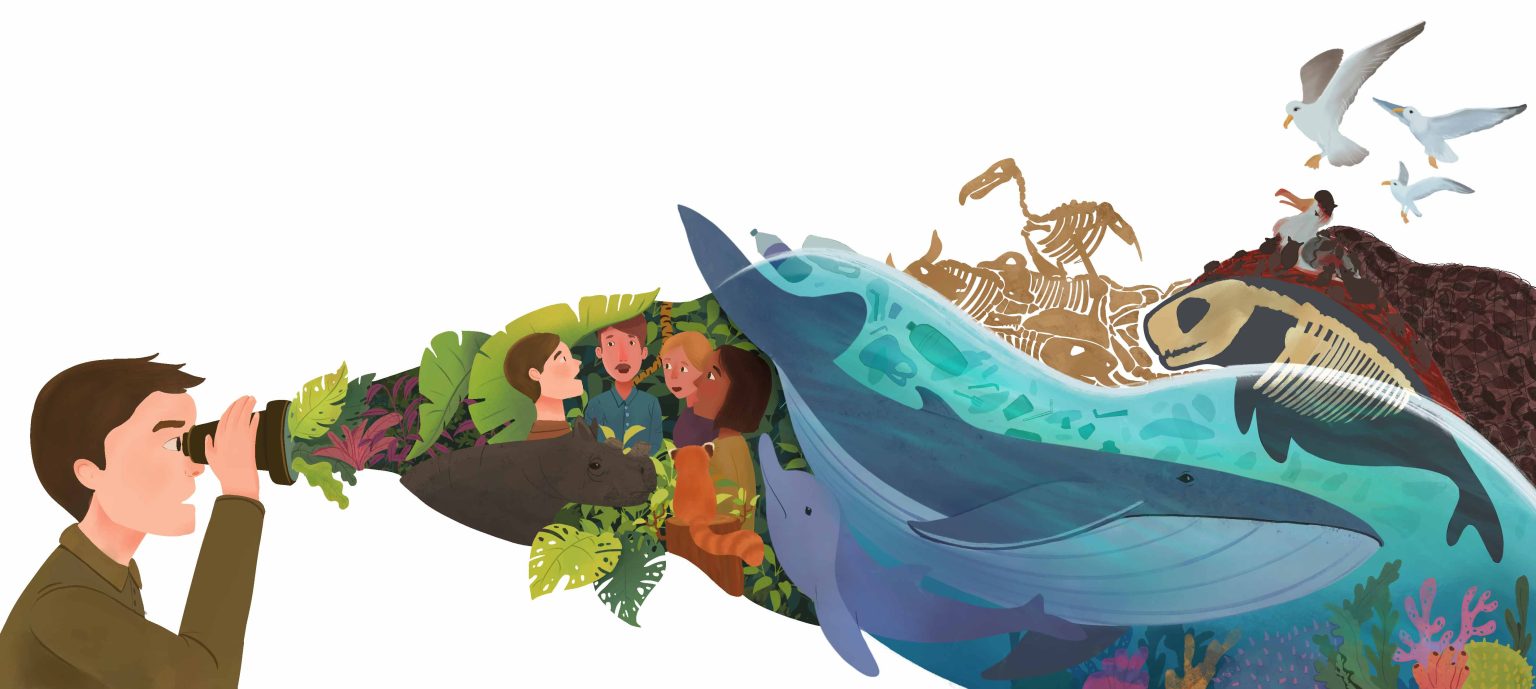 What is conservation? The struggle over boundaries and definitions ...