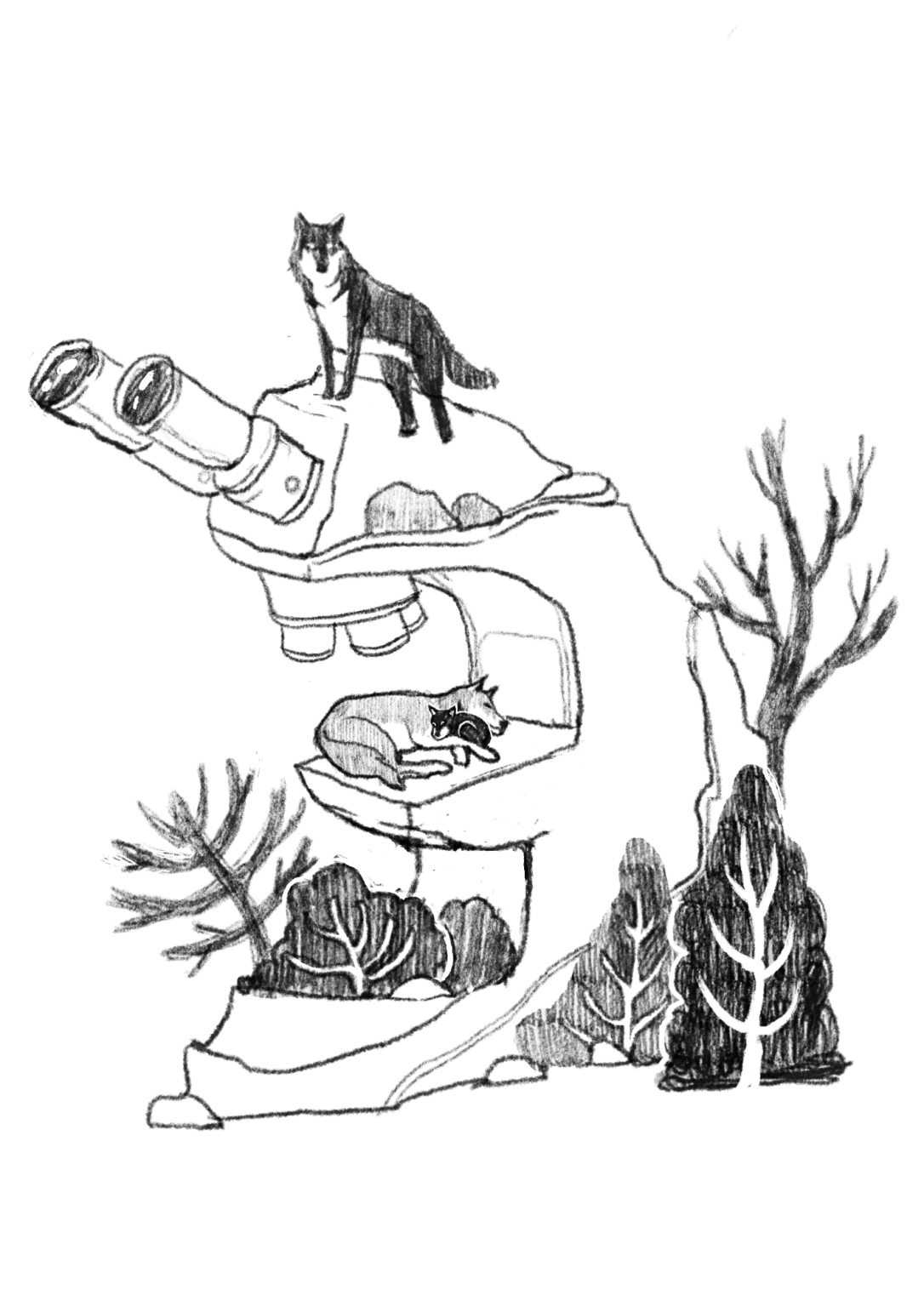 All nature is political: An interview with Bill Adams | Current ...