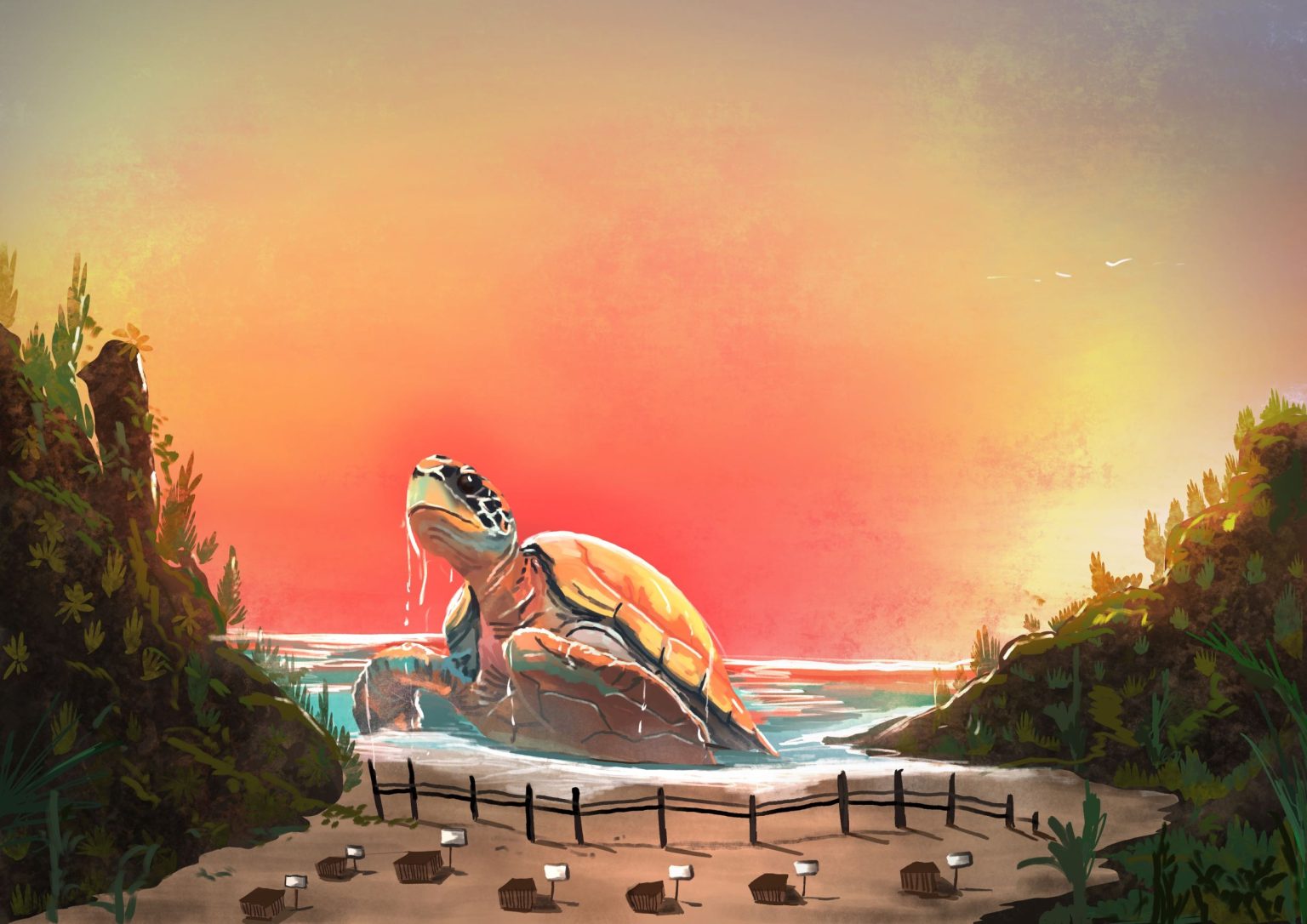 Tried and tested: The role of evidence-based practices in sea turtle ...