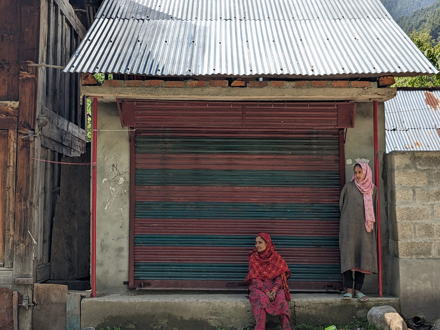 The Painted Forest: Exploring human-nature interrelationships in Gond painting | Current ...