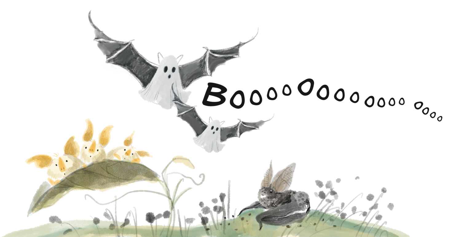 Beautiful Bats | Current Conservation