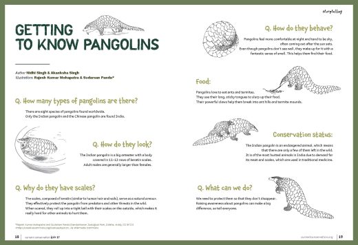 The Pangolin Protector: A Tale of Discovery and Rescue | Current ...