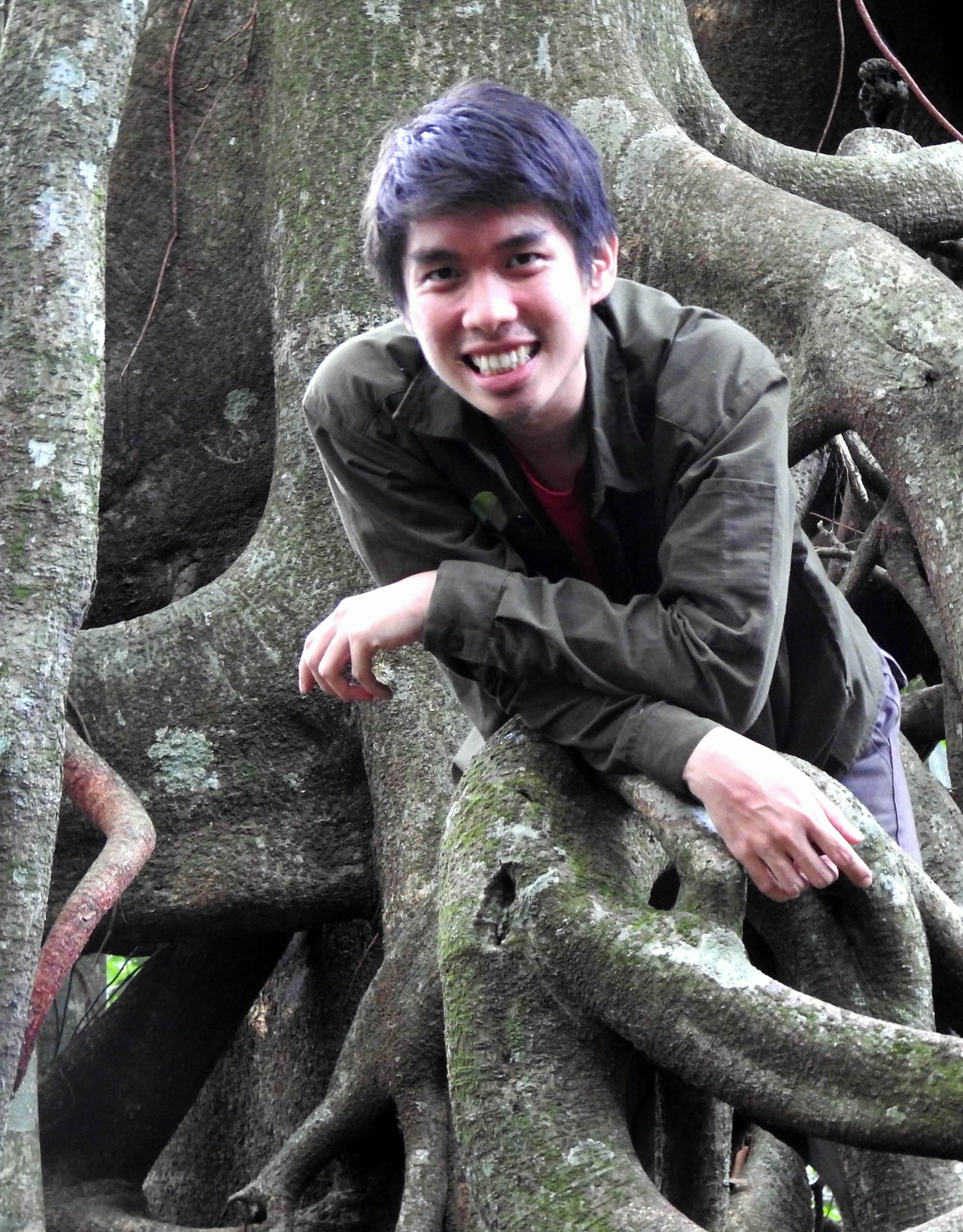 Ardiantiono | Current Conservation