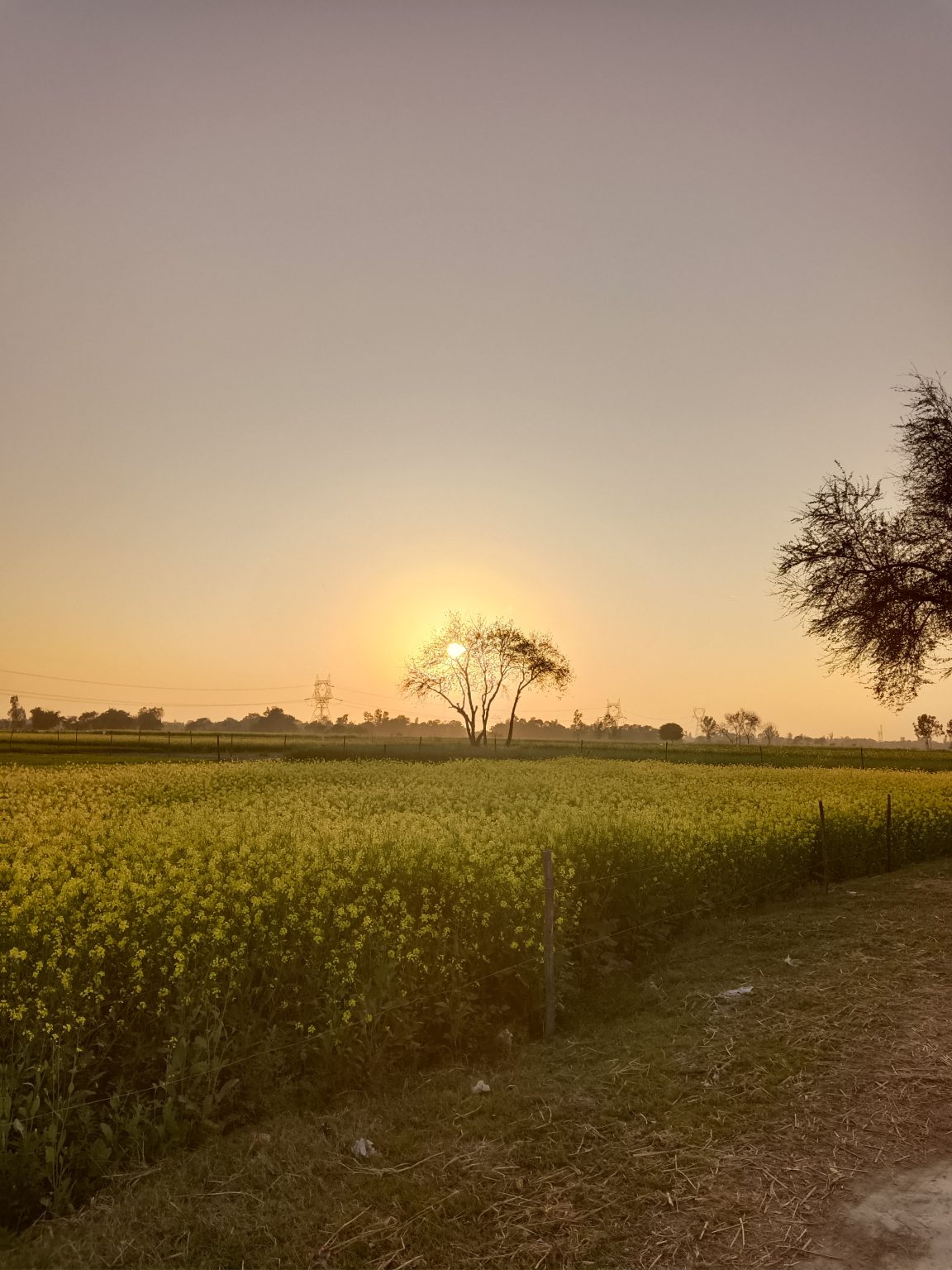 Read Archives | Current Conservation