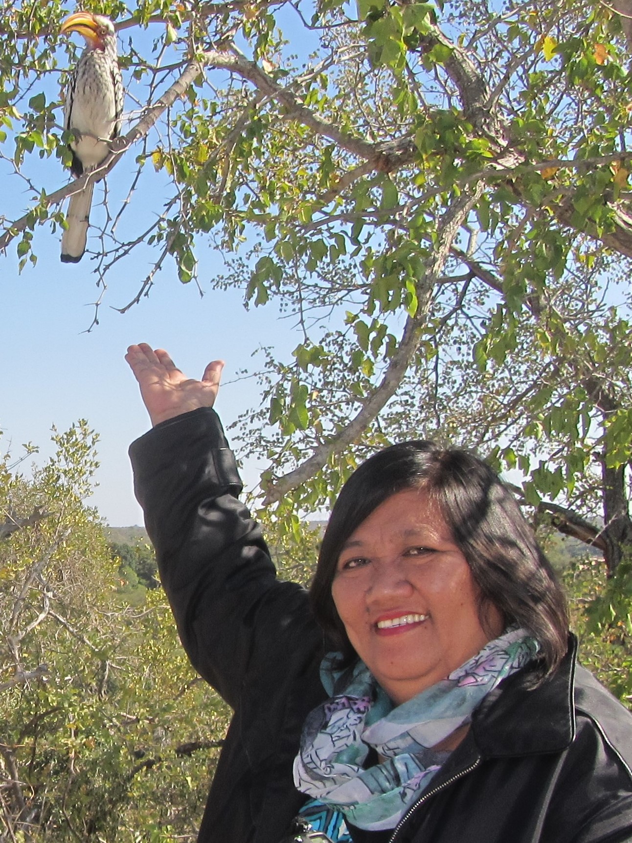 Myrna Cureg | Current Conservation