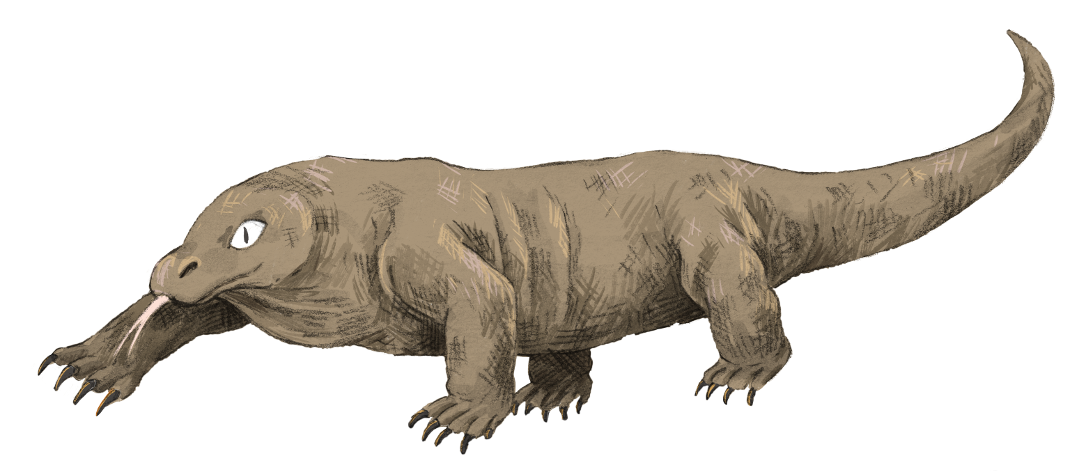 Living in harmony with dragons | Current Conservation