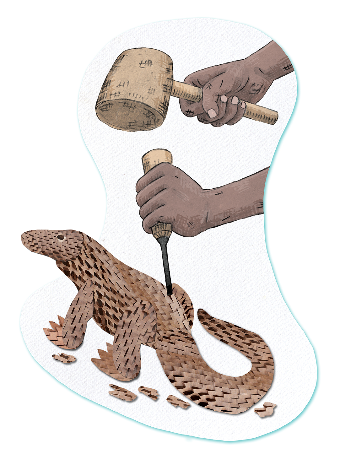 Living in harmony with dragons | Current Conservation