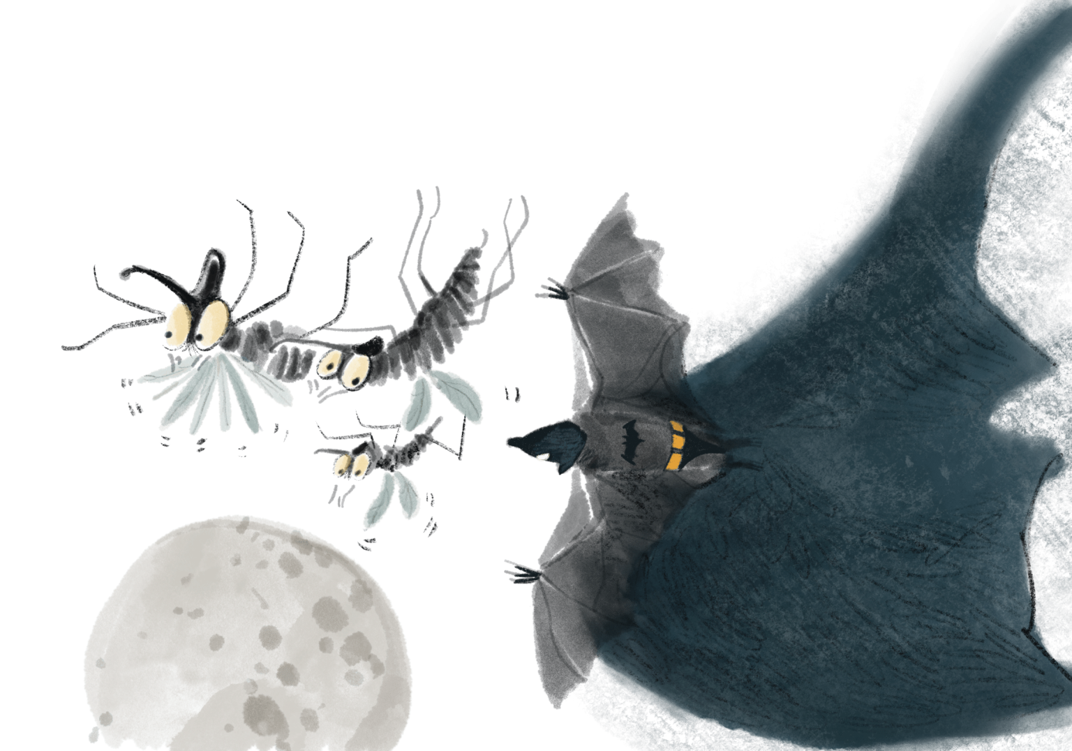Beautiful Bats Current Conservation
