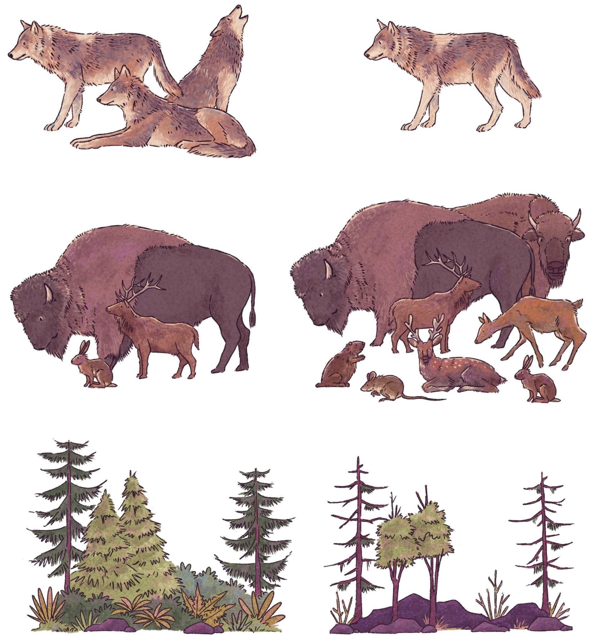 Cavemen, carnivores and cities: A co-evolutionary timeline | Current ...