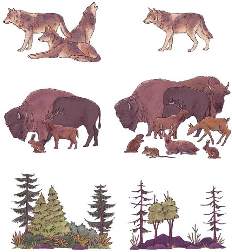 Cavemen, carnivores and cities: A co-evolutionary timeline | Current ...