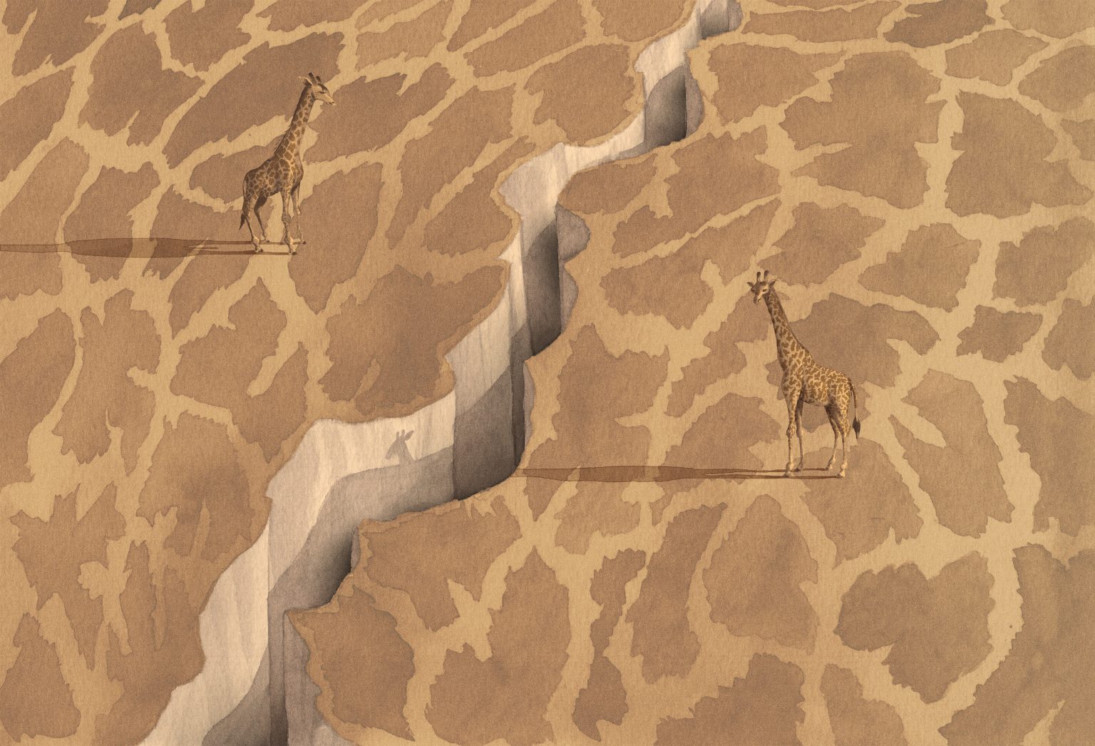 Leveraging genetics to inform giraffe conservation | Current Conservation