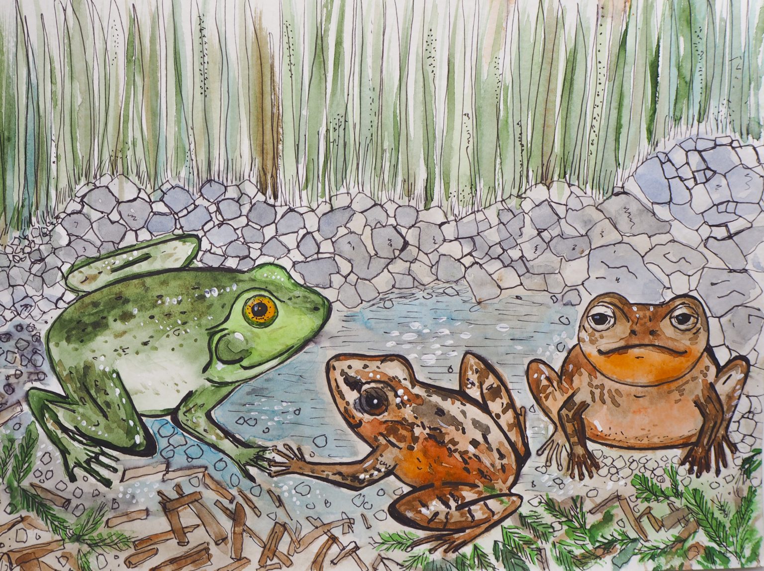 Coping with isolation: What humans now have in common with the Oregon ...