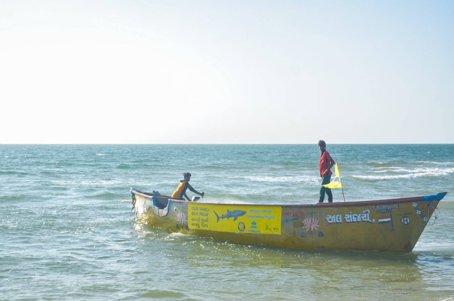My introduction to the sea | Current Conservation