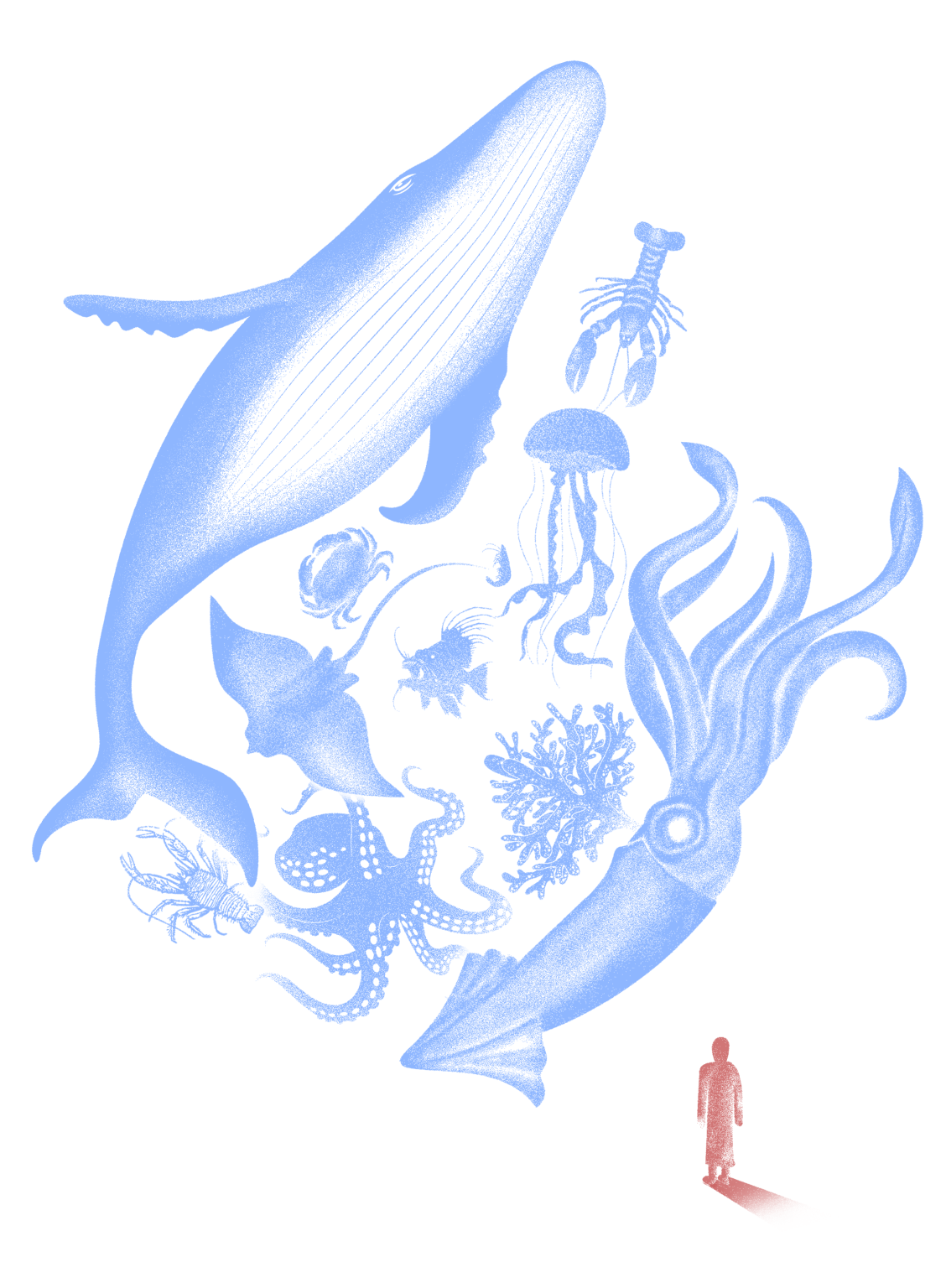 Saving the high seas | Current Conservation